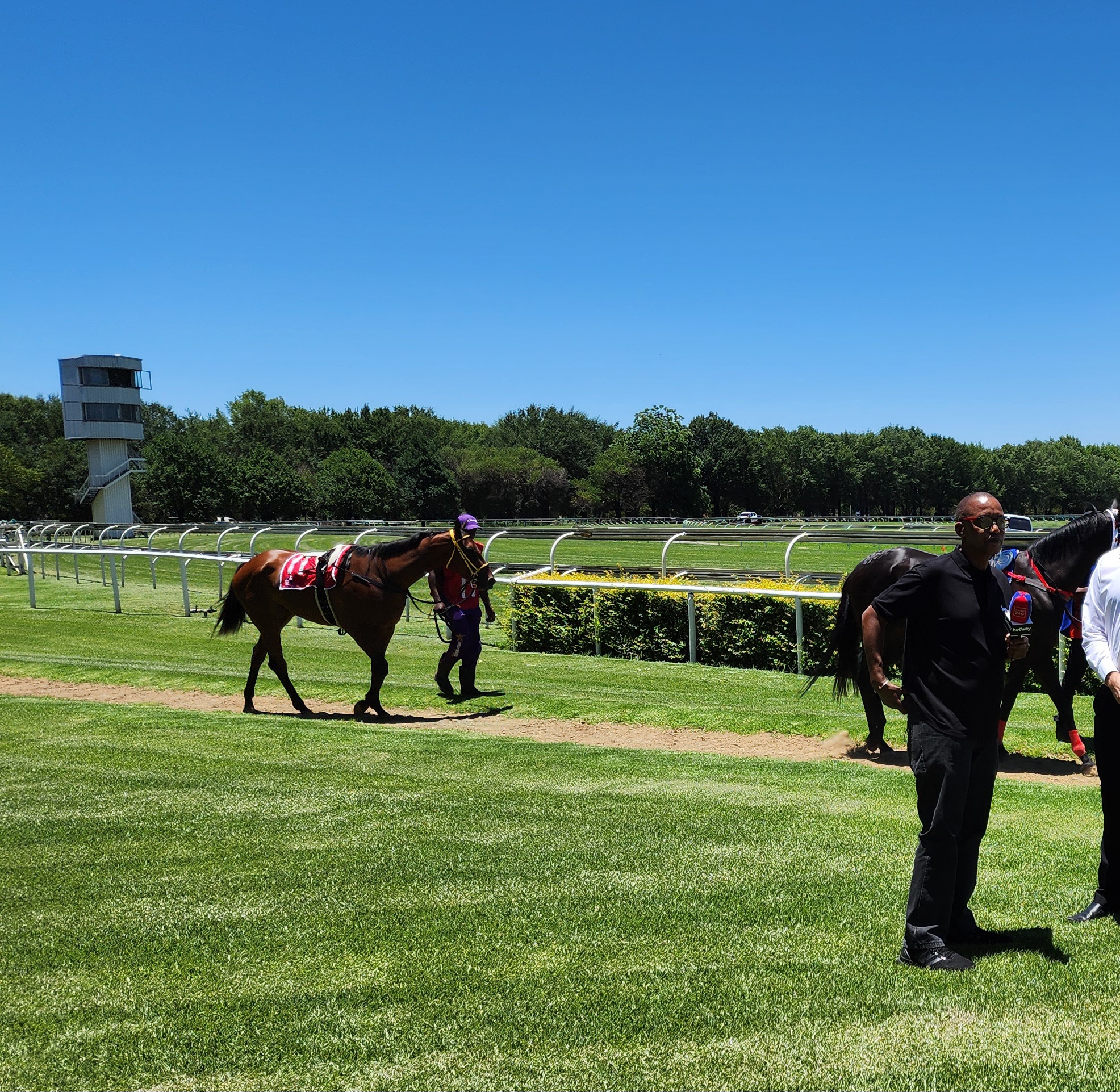 SAHorseracing.COM - South African Horseracing and Betting