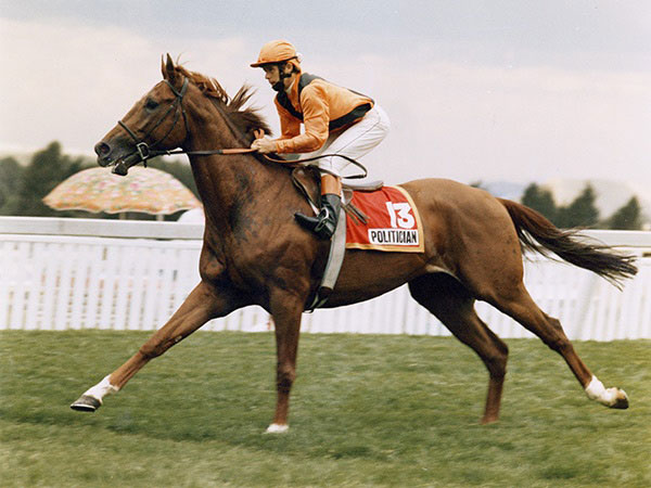 Opinion: Top 12 Racehorses of the Past 50 Years - SAHorseracing.COM ...