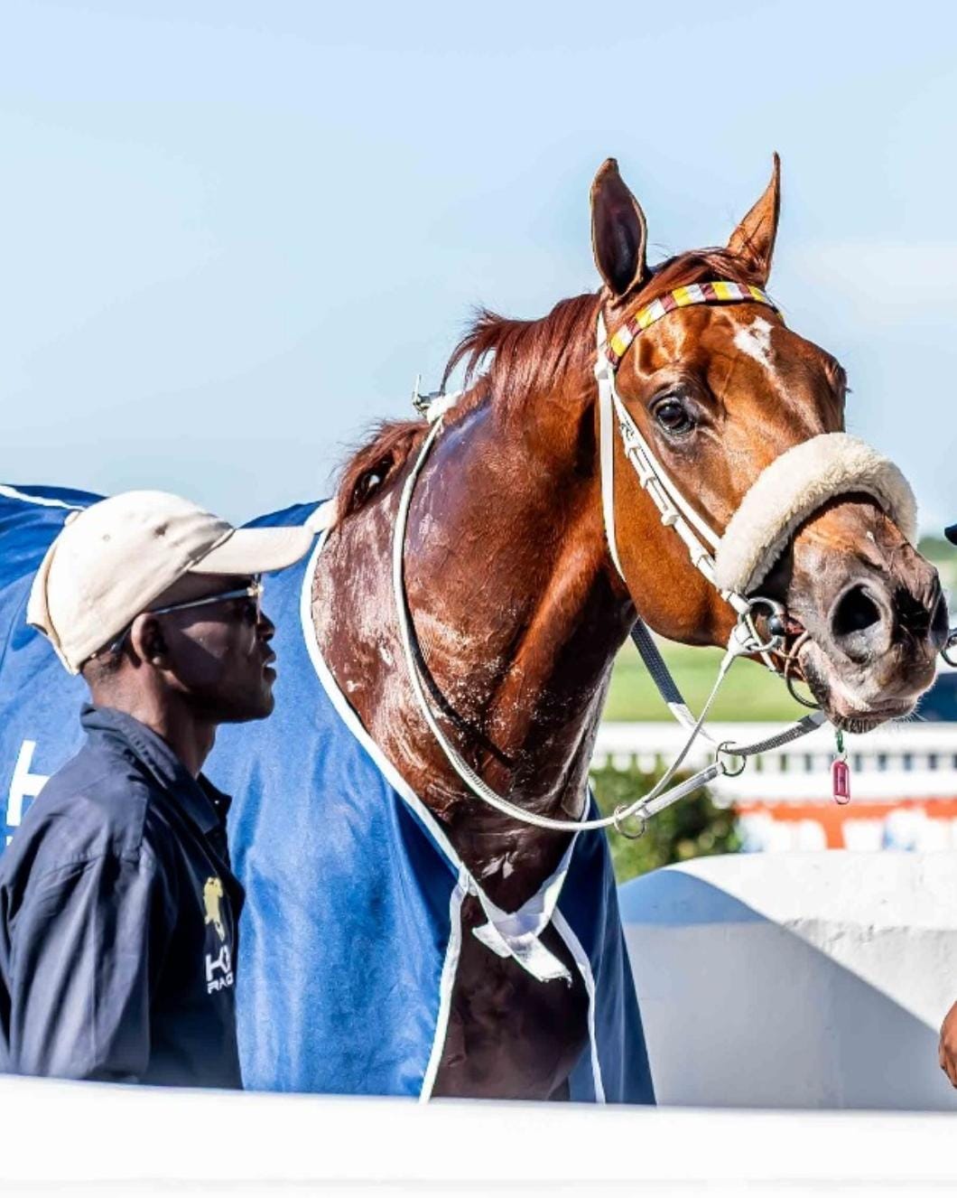 Kelly Mitchley Speaks Out After R250,000 Fine, Citing Groom ...
