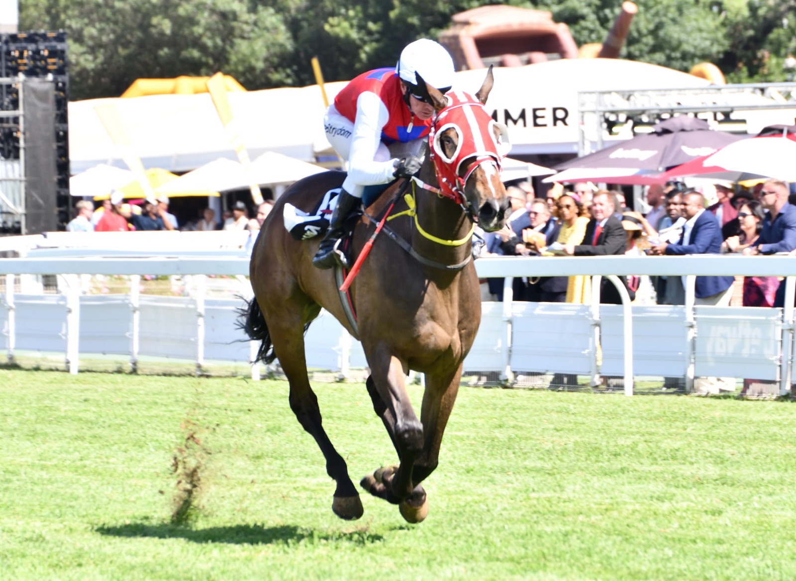 SAHorseracing.COM - South African Horseracing and Betting