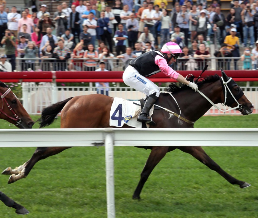 SAHorseracing.COM - South African Horseracing and Betting