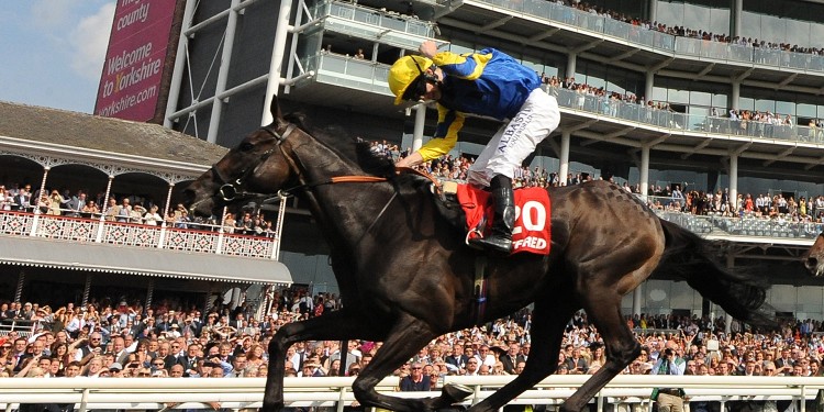 SAHorseracing.COM - South African Horseracing and Betting