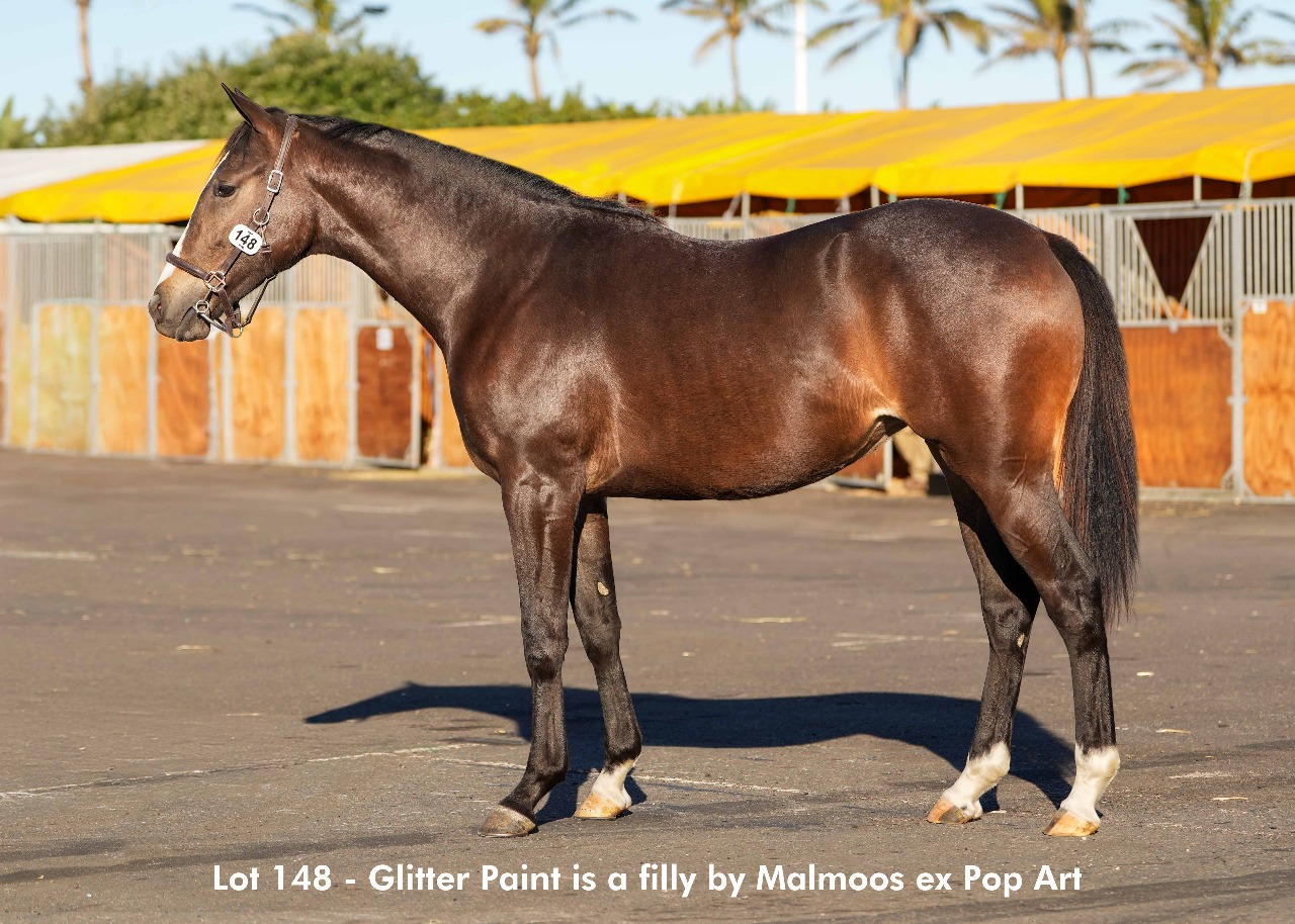 Henman Stud - KZN Yearling Sales Draft 2025 - SAHorseracing.COM - South ...